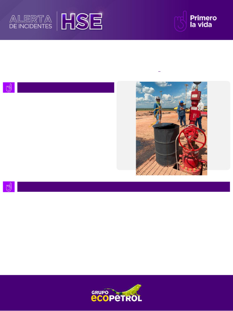 Alerta HSE Case 27 | PDF