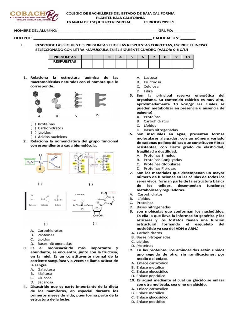 Examen Tercer Parcial TSQII | PDF | Carbohidratos | Proteínas