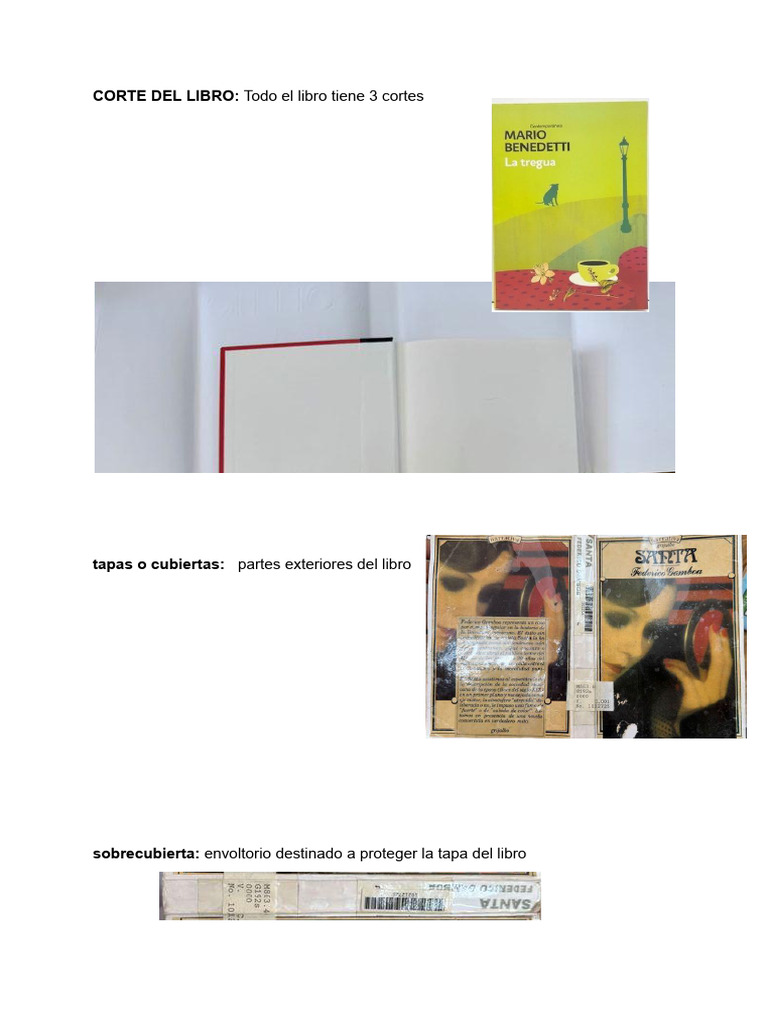 Cortes y Estructura del Libro | PDF