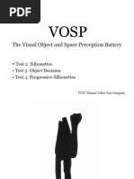 Bells Test | PDF | Neuropsychology | Cognition