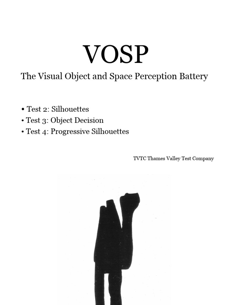 VOSP: Visual Object & Space Tests | PDF
