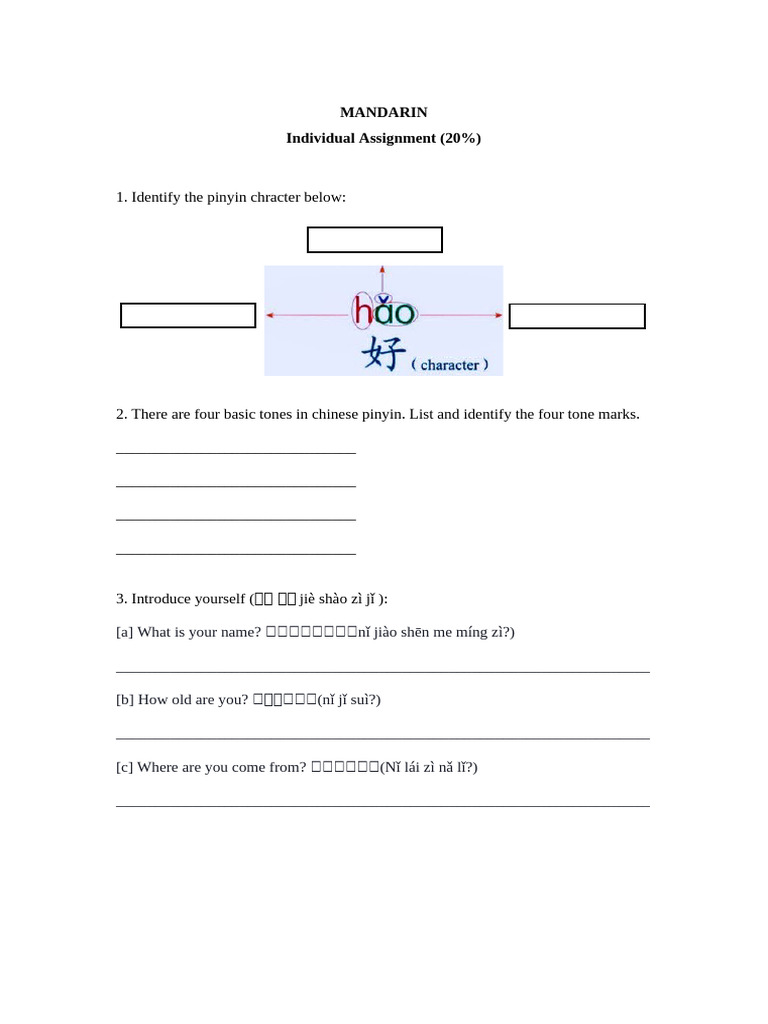 Individual Assignment Mandarin | PDF