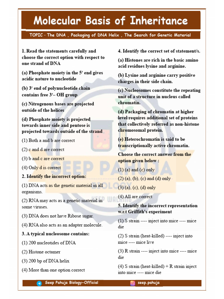 DNA Structure and Genetic Material Quiz | PDF | Dna | Chromatin