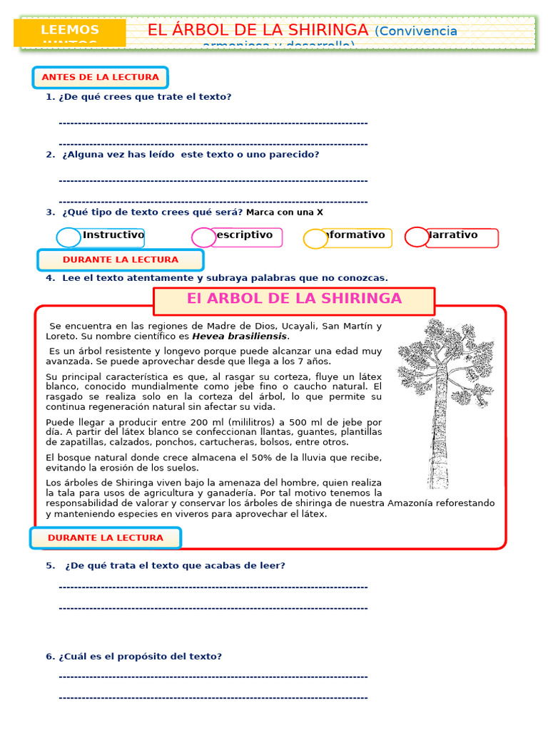 Leemos Juntos El Árbol de La Shiringa | PDF