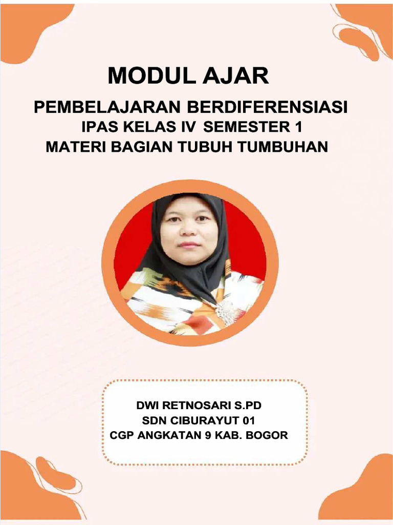 PDF Modul Ajar Pembelajaran Diferensiasi - Compress 1 | PDF