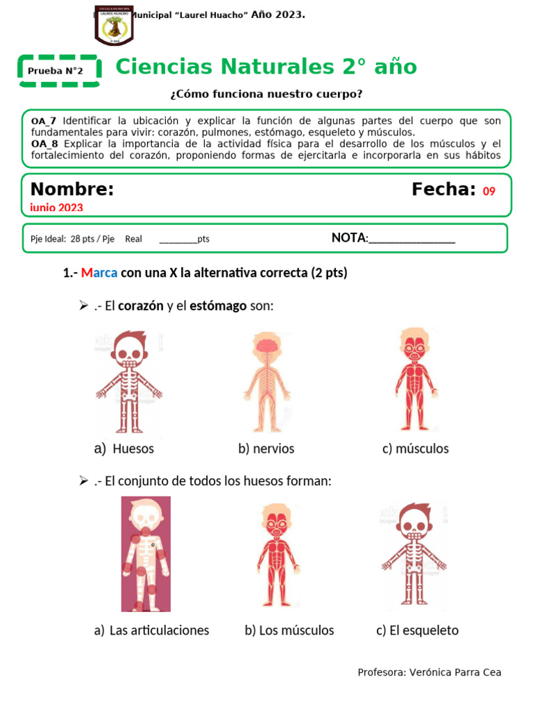 Ciencias 2° - Prueba N°2sistemas Del Cuerpo y Actividad Física | PDF ...