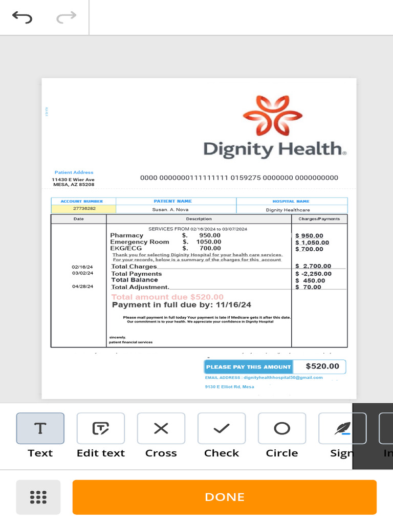 Dignity Healthcare Patient Billing Summary | PDF | Hospital | Service ...