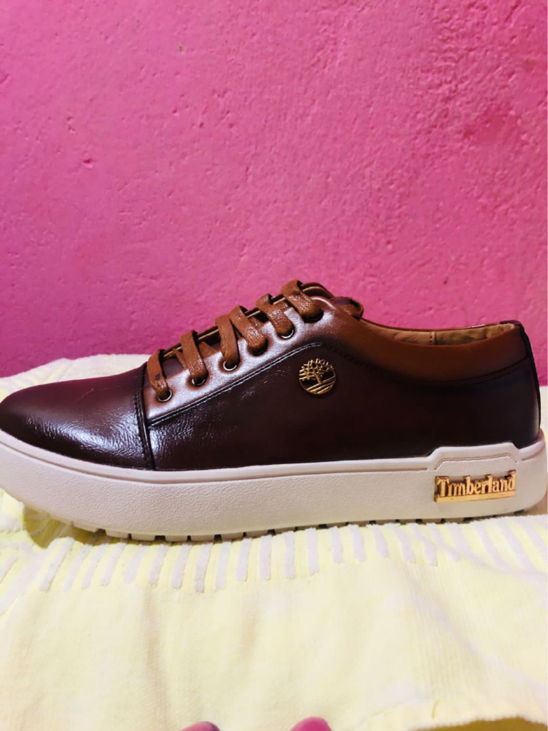 PDF Phoenix 20241129 014432 | PDF