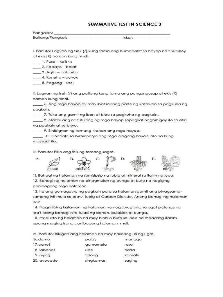 Summative Test in Science 3 | PDF