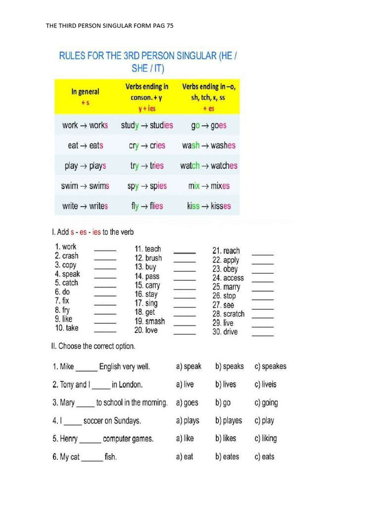 The Third Person Singular Form 8vo | PDF