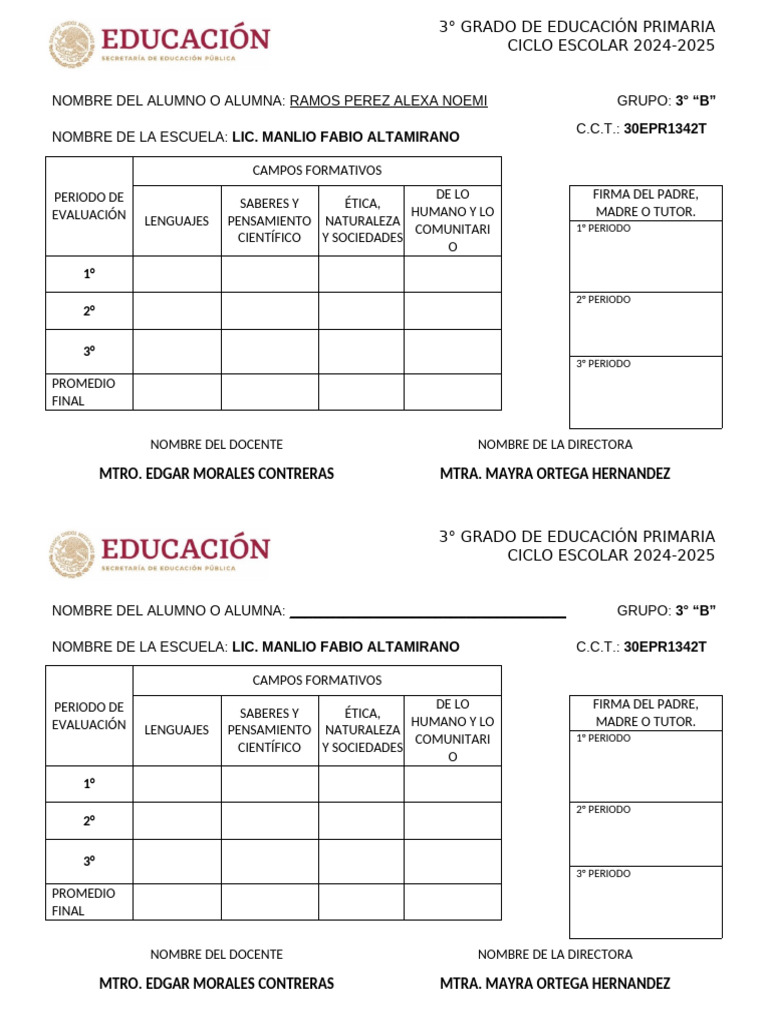 Boleta para Llenar | PDF