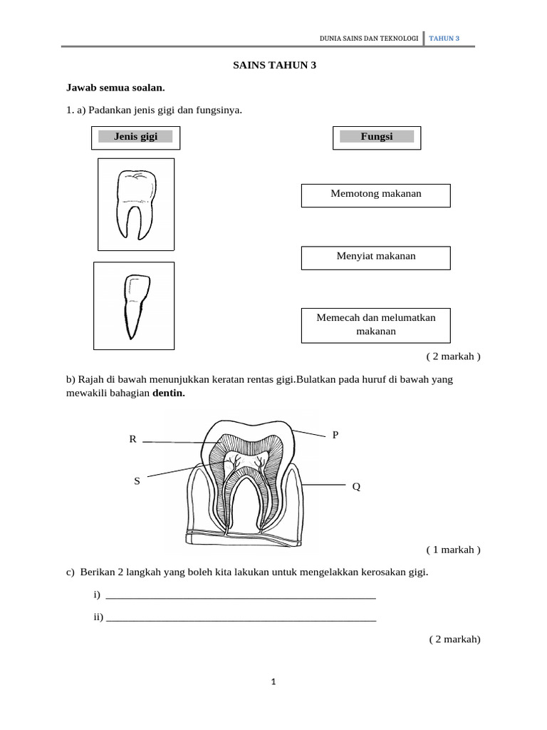 Soalan Sains Tahun 3 | PDF