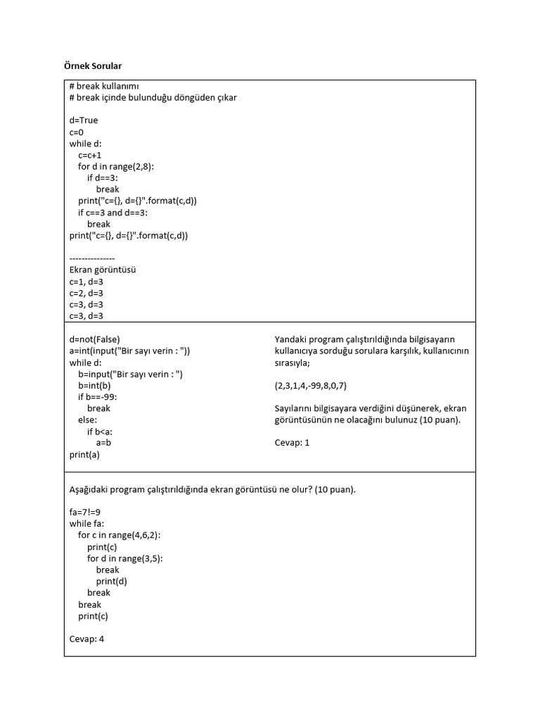 Ornek Imtihan Sorulari Ptython | PDF