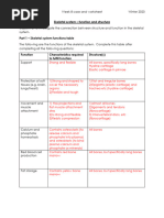 Labeled Anatomy Models | PDF