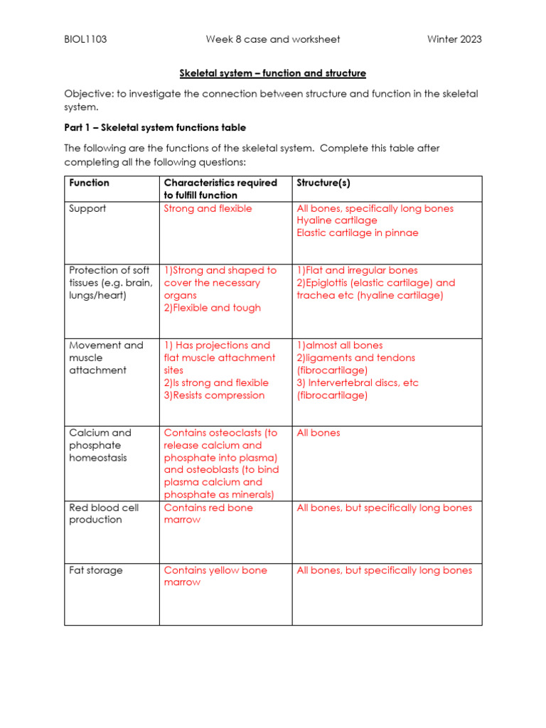 Week 8 POGIL and Worksheet 1 Skeletal Answers | PDF | Bone | Skeleton