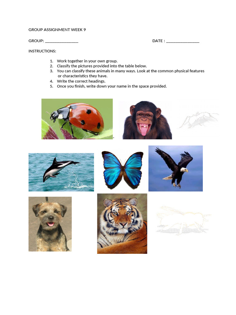 Animal Classification Assignment | PDF