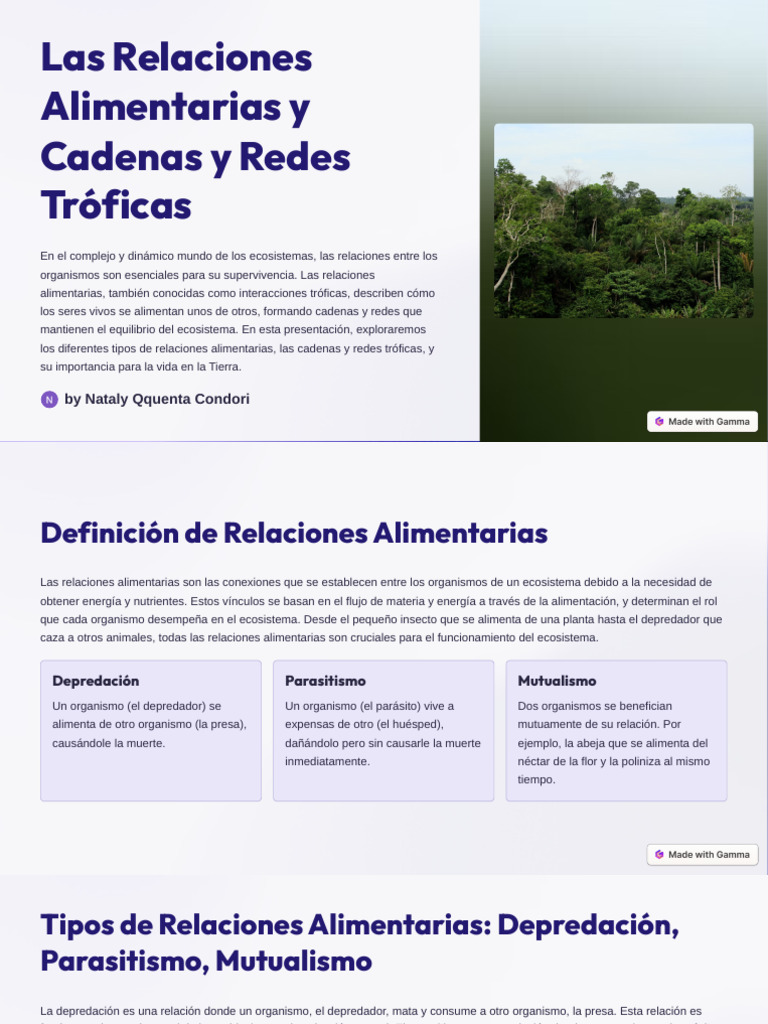 Las Relaciones Alimentarias y Cadenas y Redes Troficas | PDF | Red ...