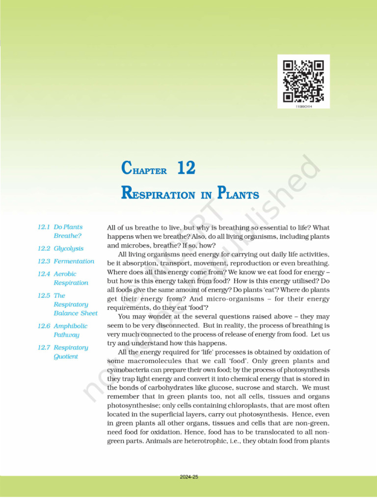 Chapter 12 | PDF