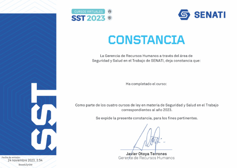 CONSTANCIA - Reporte de Actos y Condiciones Inseguras | PDF