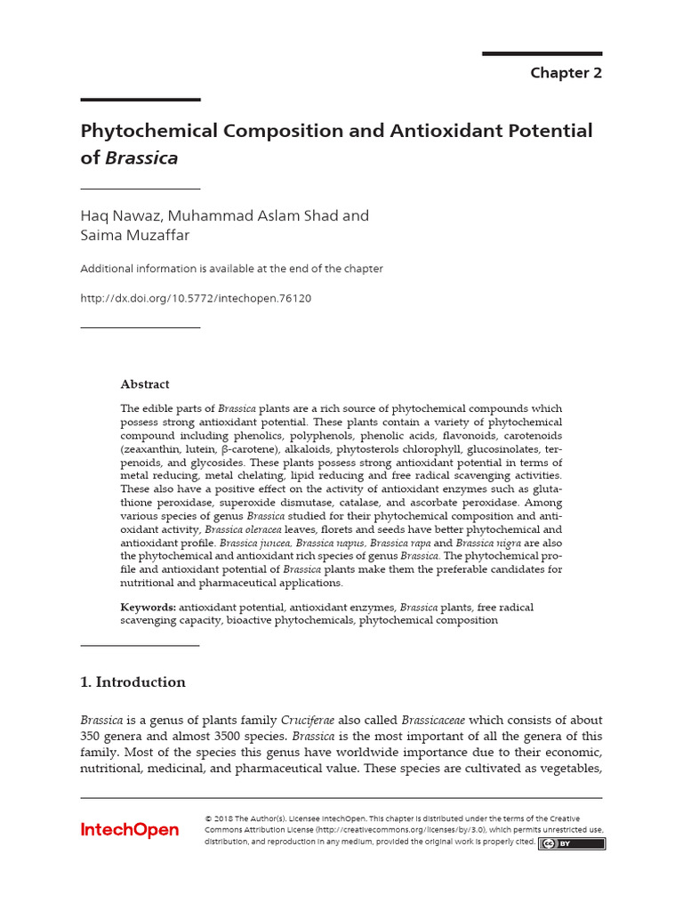 Phytochemical Composition and Antioxidant Potentia | PDF | Antioxidant ...