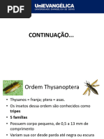 THYSANOPTERA | PDF | Insetos | Zoologia