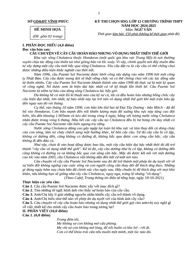 6.2. Ngữ văn - Đề minh họa - HSG12-THPT - Nh2024-2025 | PDF