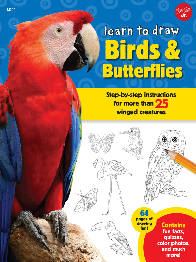 Learn To Draw Birds & Butterfli - Robbin Cuddy | PDF | Butterfly | Birds
