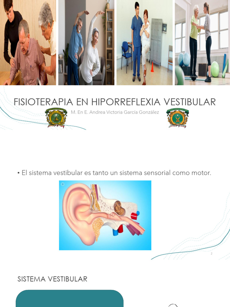 Fisioterapia en Hiporreflexia Vestibular | PDF | Vértigo | Oído