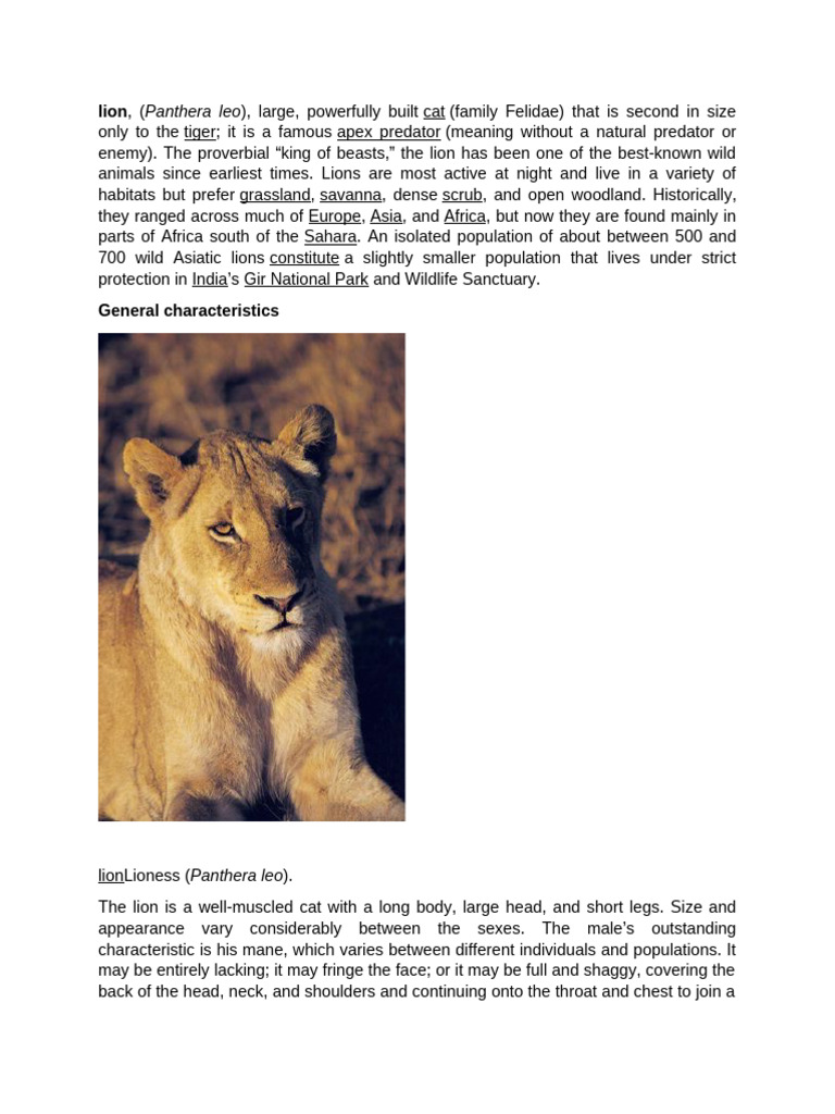 LION | PDF | Lion