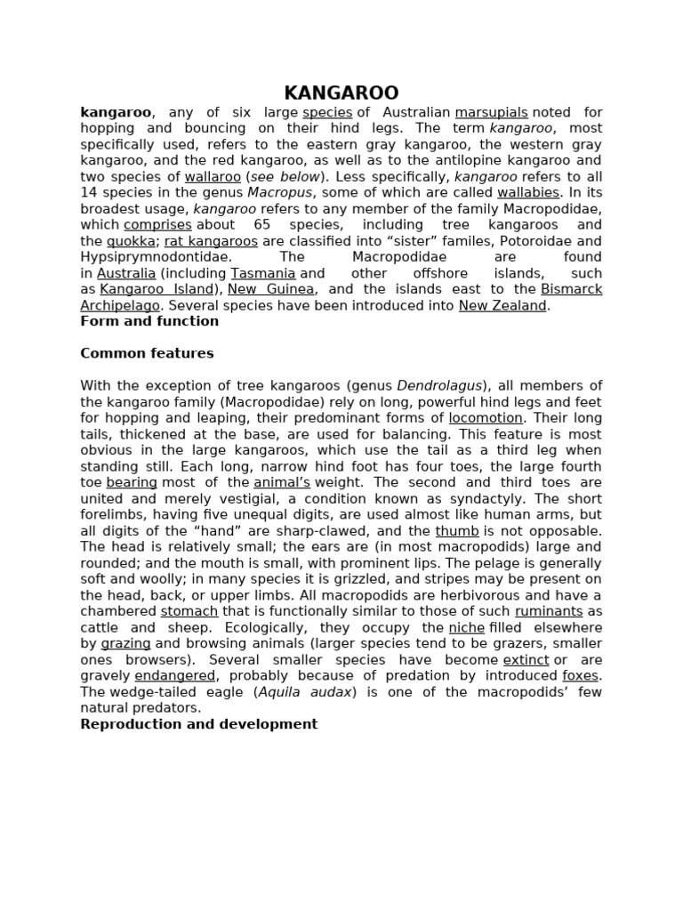 KANGAROO | PDF | Marsupials | Diprotodonts