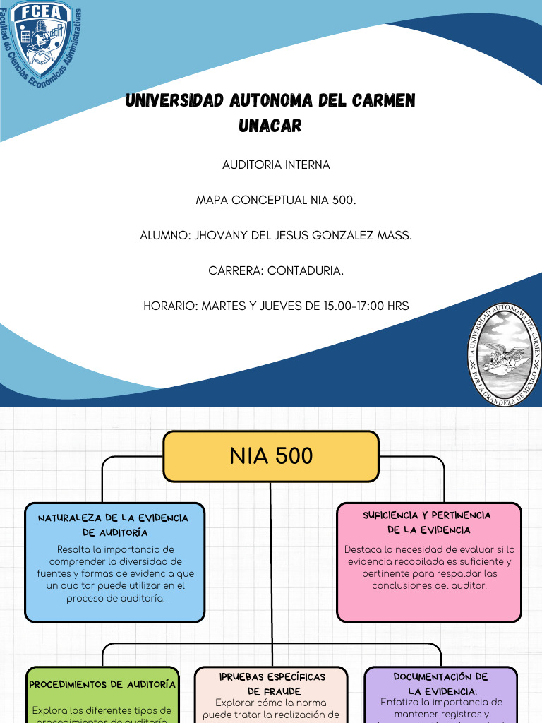 Mapa Conceptual Nia 500 | PDF