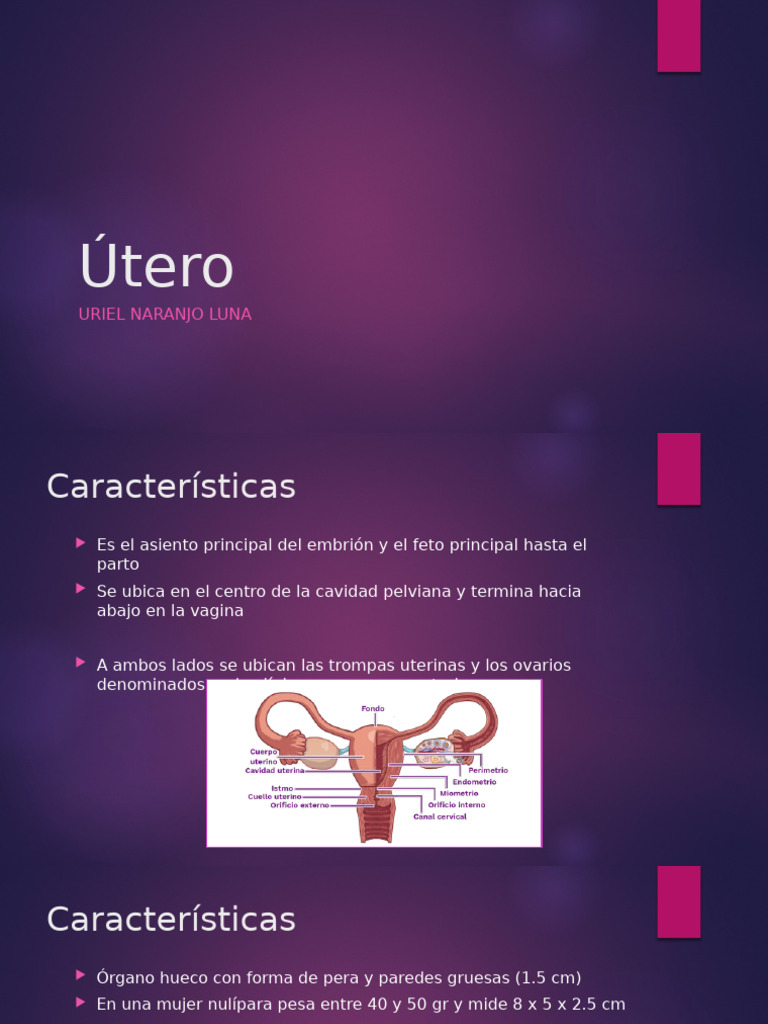Útero | PDF | Epitelio | Vagina