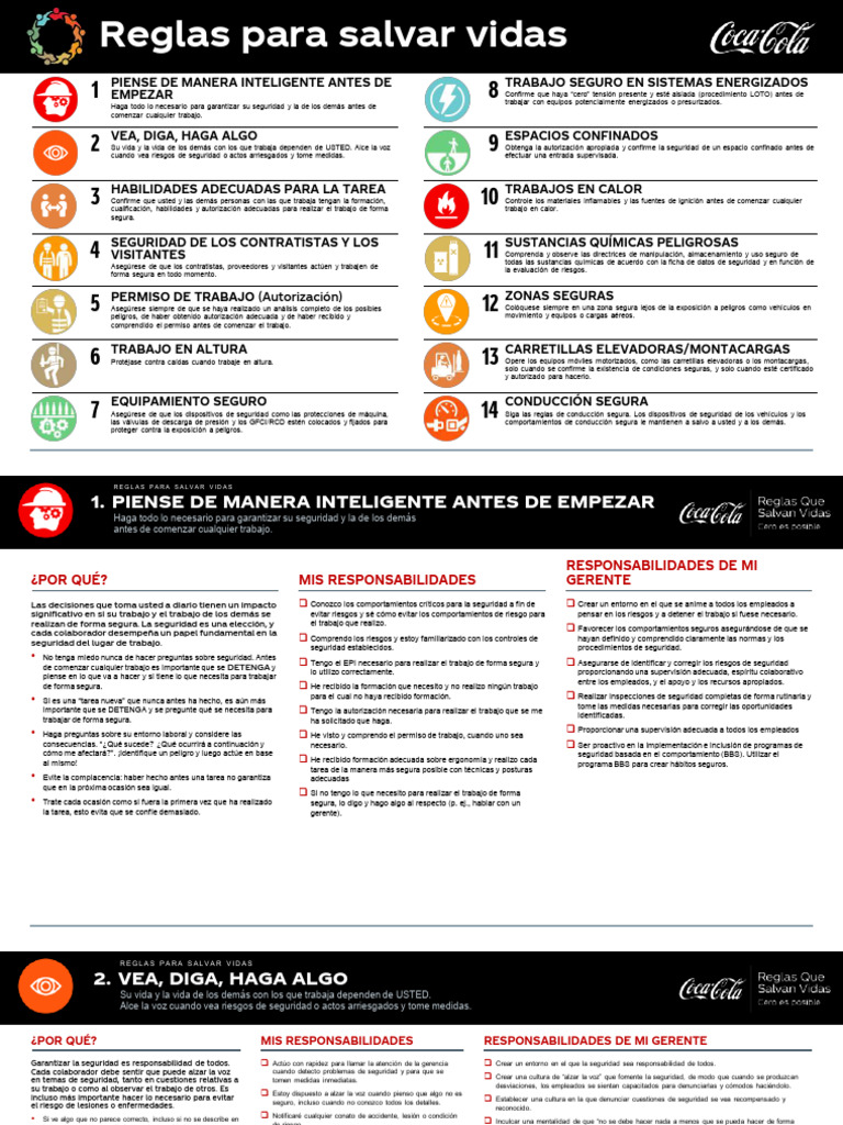 Reglas Que Salvan Vidas 14 | PDF | Valores | Máquina elevadora