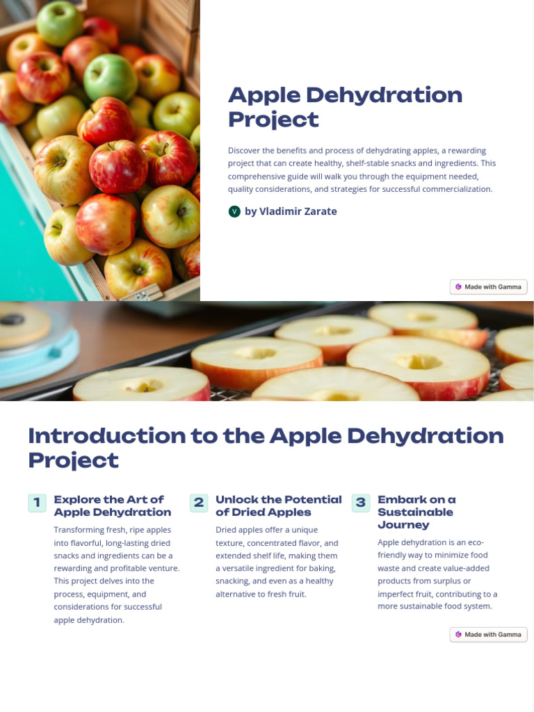 Apple Dehydration Project | PDF | Apple | Brand