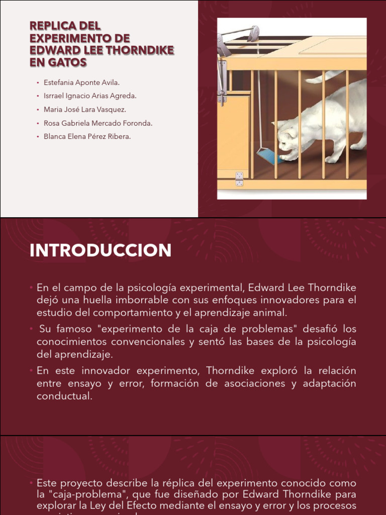 Réplica del Experimento de Thorndike | PDF | Sicología | Conceptos ...