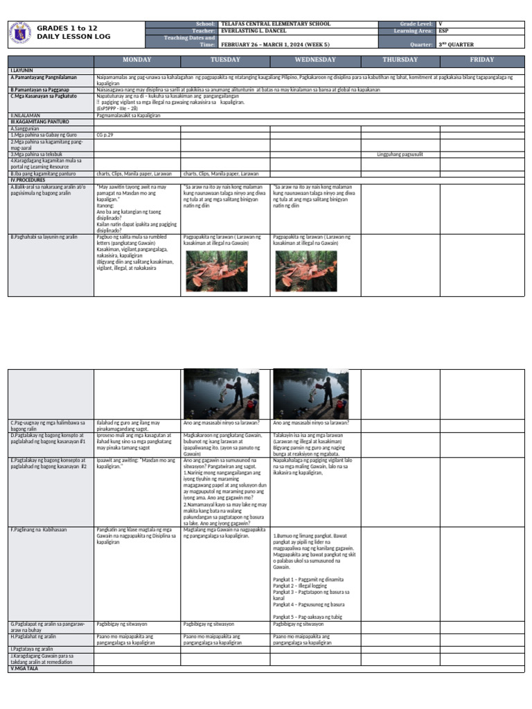 DLL - Esp 5 - Q3 - W5 | PDF | Differentiated Instruction | Teachers
