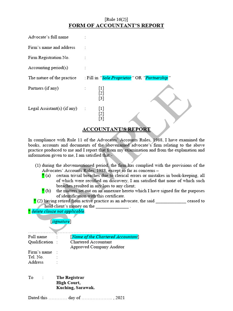 Accountant's Report Sample 2025 Practicing Certificate Application | PDF