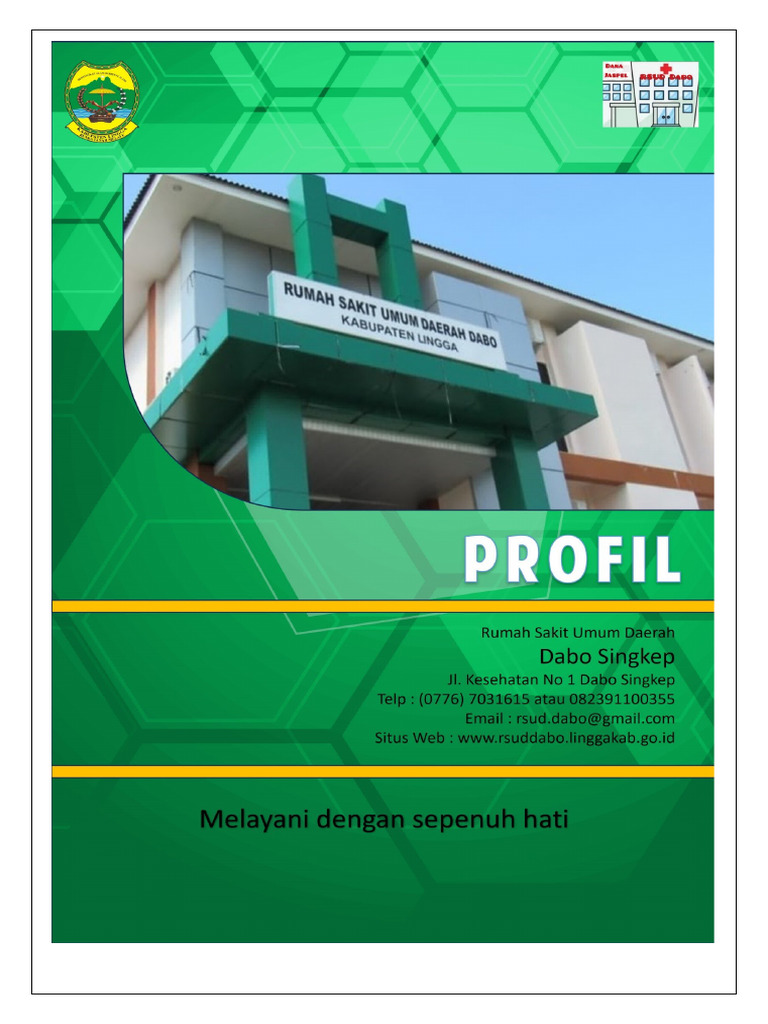 Dabo Singkep Regional General Hospital | PDF | Neurology | Clinic