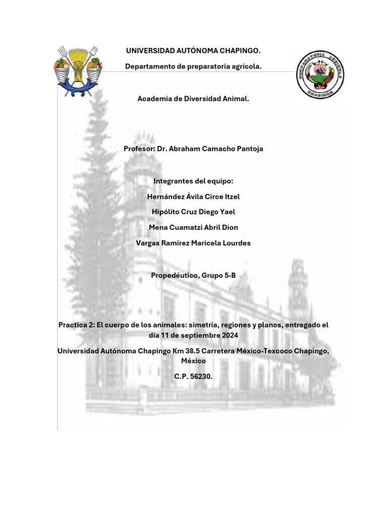Practica #1 Diversidad Animal.2c | PDF | Simetría | Esqueleto