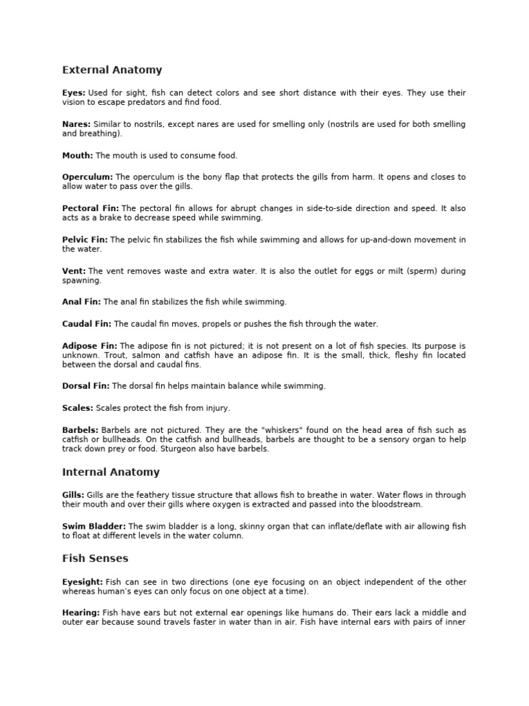 Anatomy of A Fish | PDF | Fish | Senses