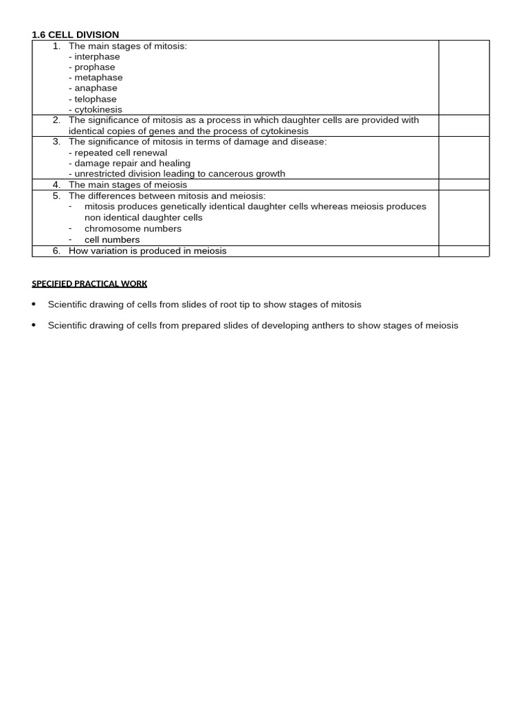 1.6 Cell Division Specification | PDF