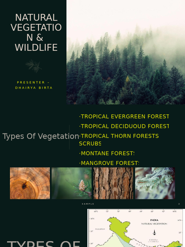Dhairya - Natural Vegetation & Wildlife Presentation | PDF | Forests ...
