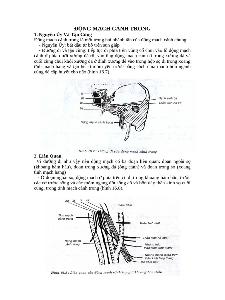 Đ NG M CH C NH Trong | PDF