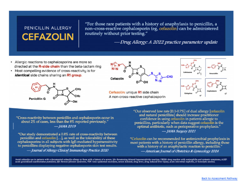 Cefazolin Safety Explanation | PDF