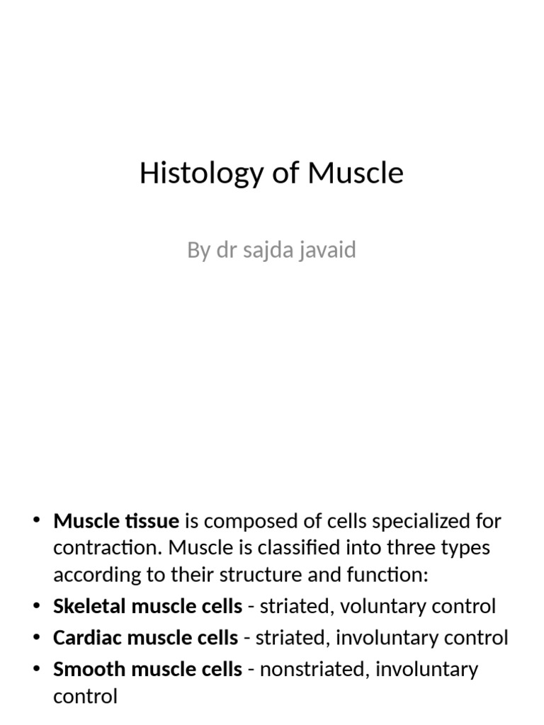 Histology of Muscle | PDF | Muscle | Cardiac Muscle