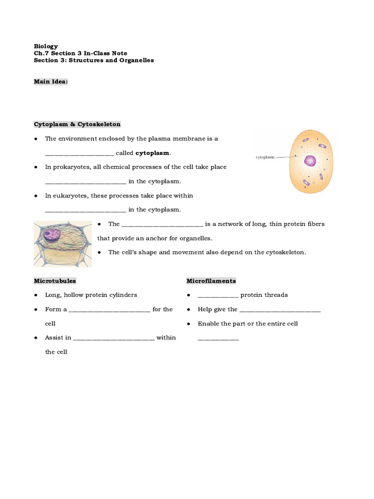Cell Structures and Organelles Overview | PDF | Cell (Biology) | Cytoplasm