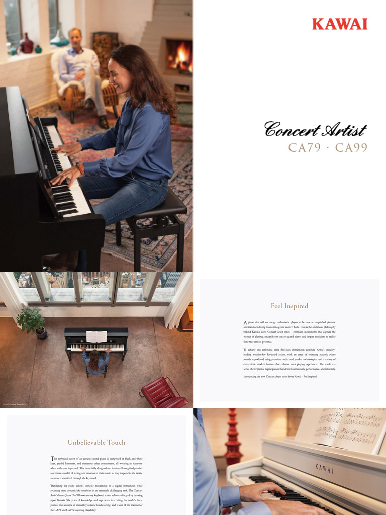 CAx9_brochure_EN_300dpi | PDF | Piano | String Instruments