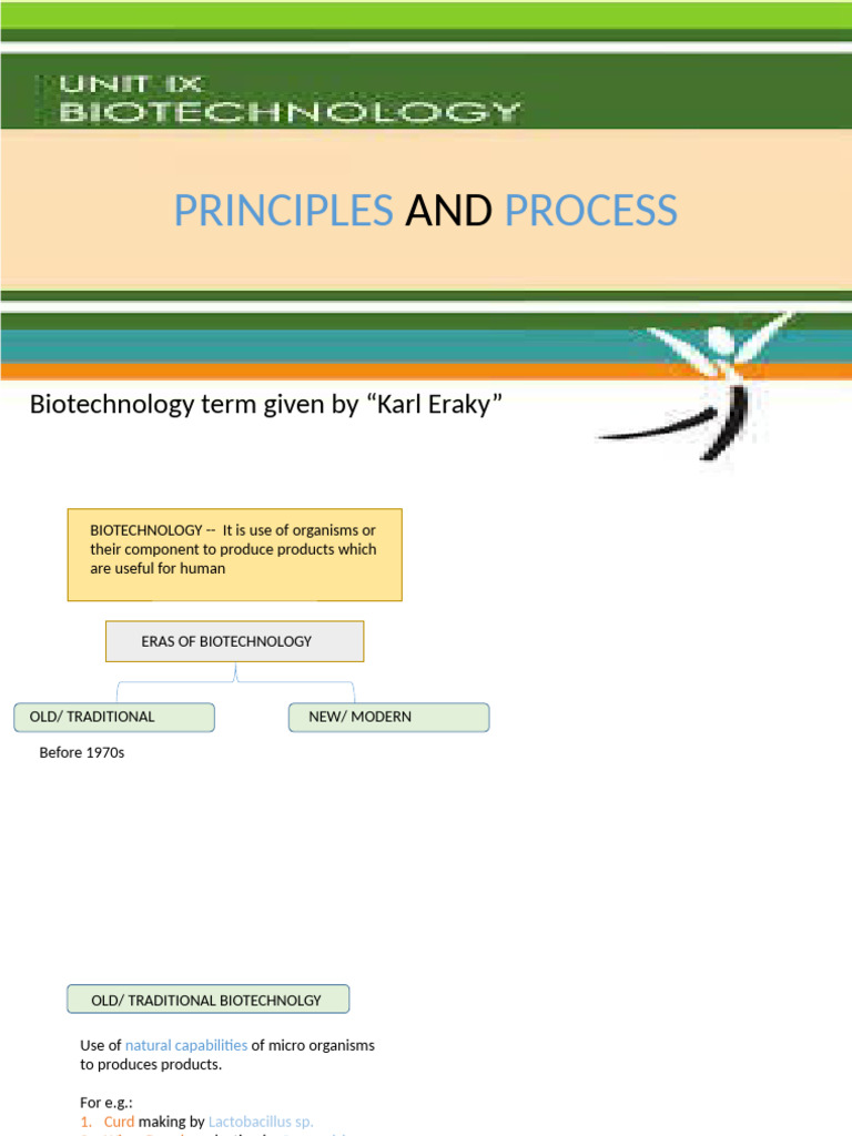 Biotechnology Principles and Processes | PDF | Restriction Enzyme | Plasmid