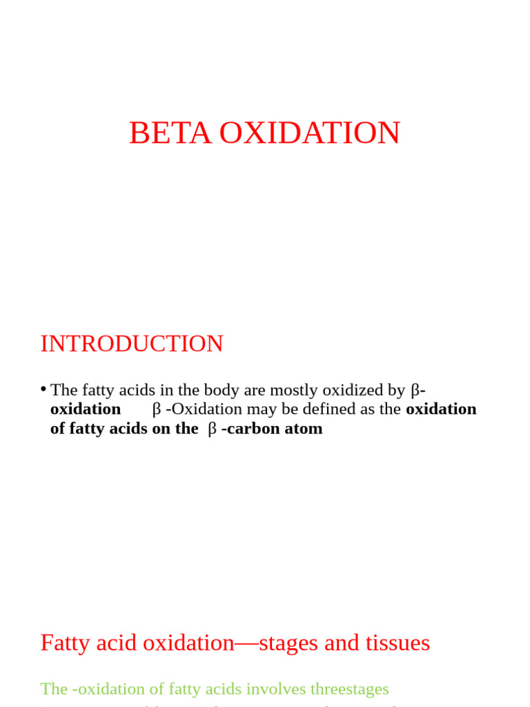 Understanding Beta Oxidation of Fatty Acids | PDF | Fatty Acid ...
