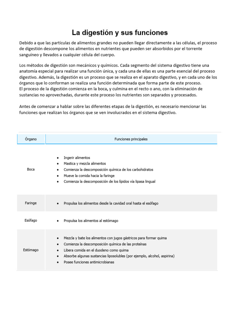 Texto 1. LA DIGESTIÃ - N Y SUS FUNCIONES | PDF | Digestión | Sistema digestivo humano